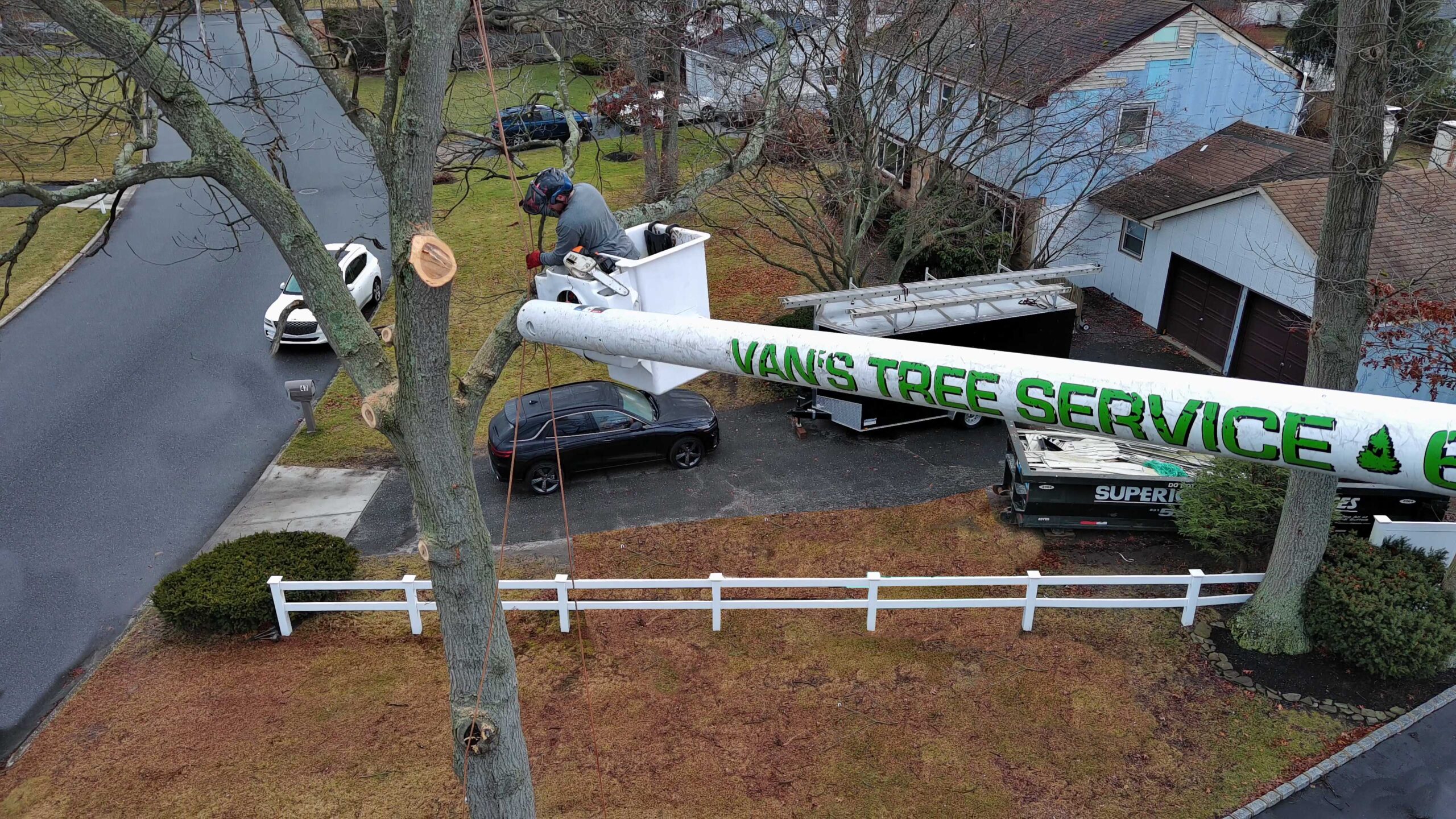 Long Island Tree Services Photos